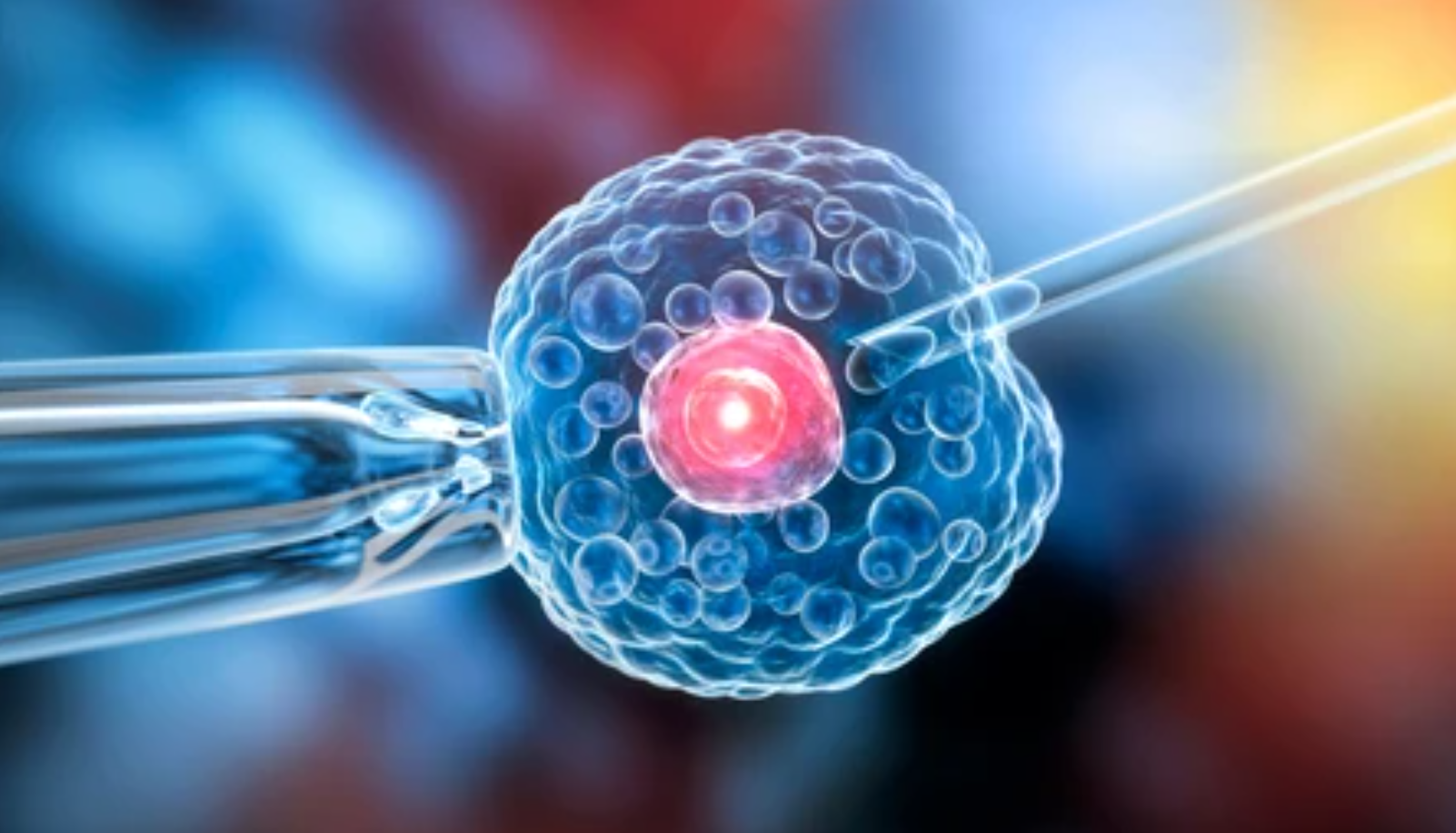 Cell Line Development – GenSensor