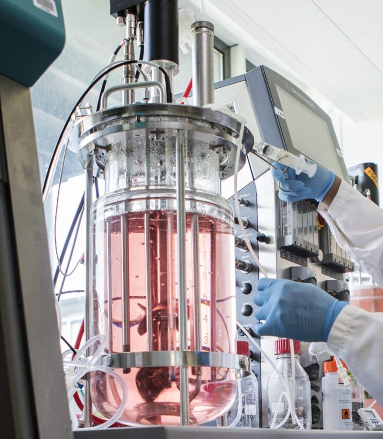 Automated Bioprocess Sampling and optimization through AI